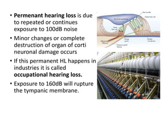 Noise pollution | PPT