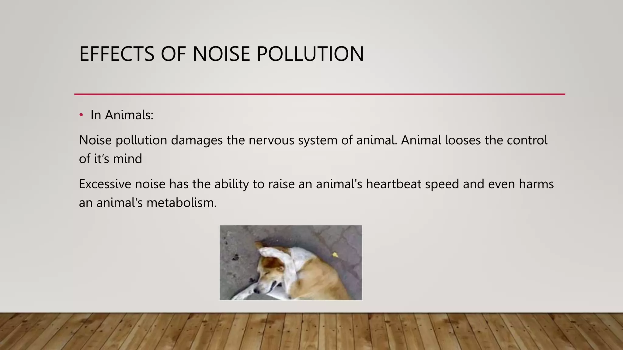Noise Pollution.pptx