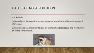 Noise Pollution.pptx