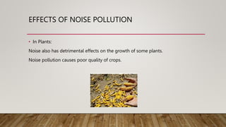 Noise Pollution.pptx