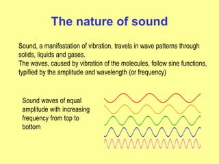 Noise pollution.ppt