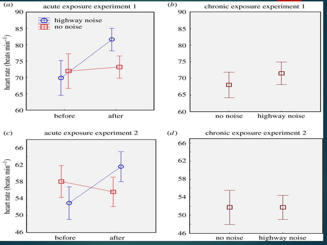 NOISE POLLUTION its effecst types decibels.ppt