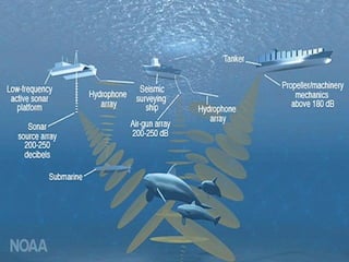 NOISE POLLUTION its effecst types decibels.ppt