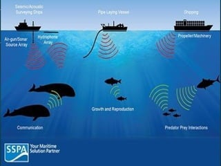 NOISE POLLUTION its effecst types decibels.ppt