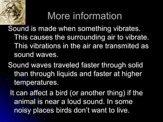 Noise pollution (Green) | PPT