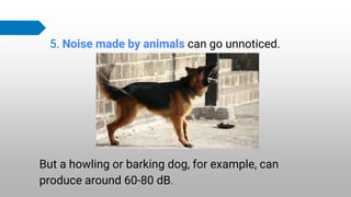 Noise pollution defination, causes and effects | PPTX | Indoor ...