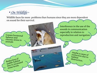 Noise pollution Environmental Studies | PPTX