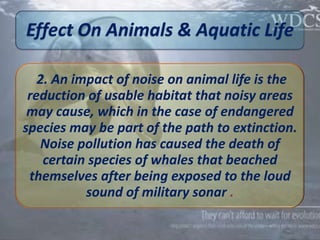 Noise pollution presentation | PPTX