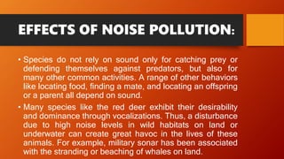 Noise pollution ppt (tanu) | PPTX