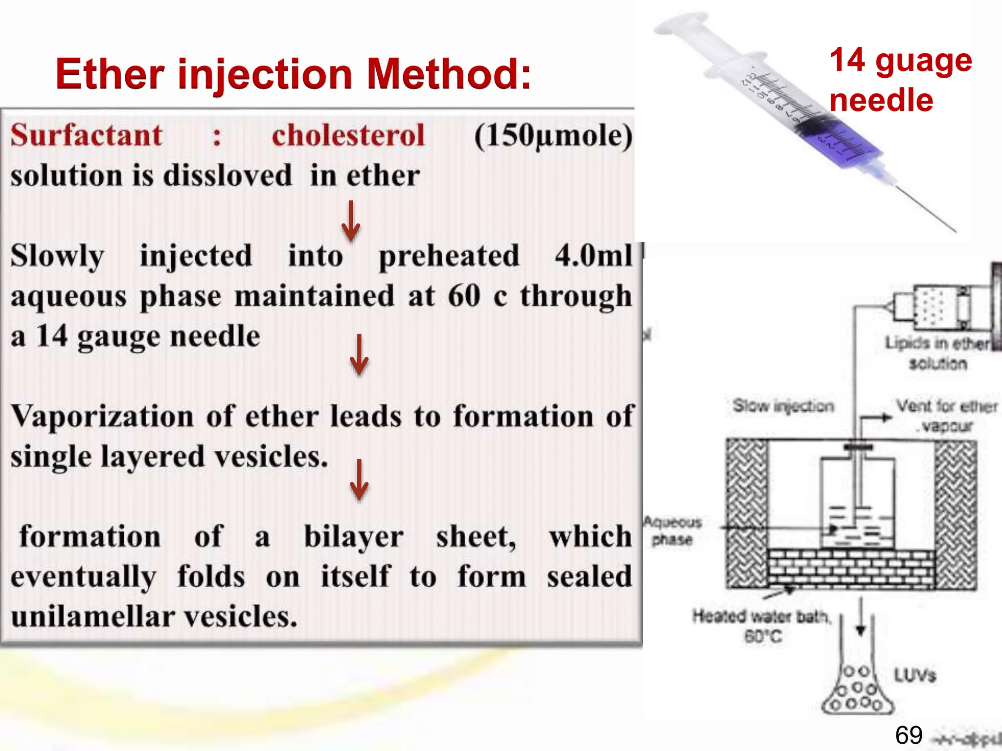 Noisome detail topic explanation notes .pptx
