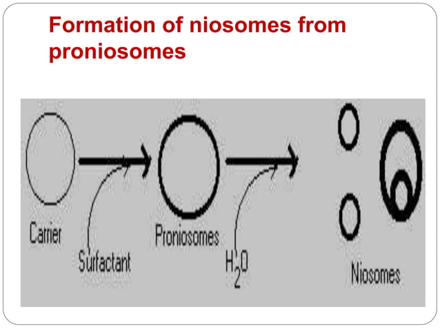 Noisome detail topic explanation notes .pptx