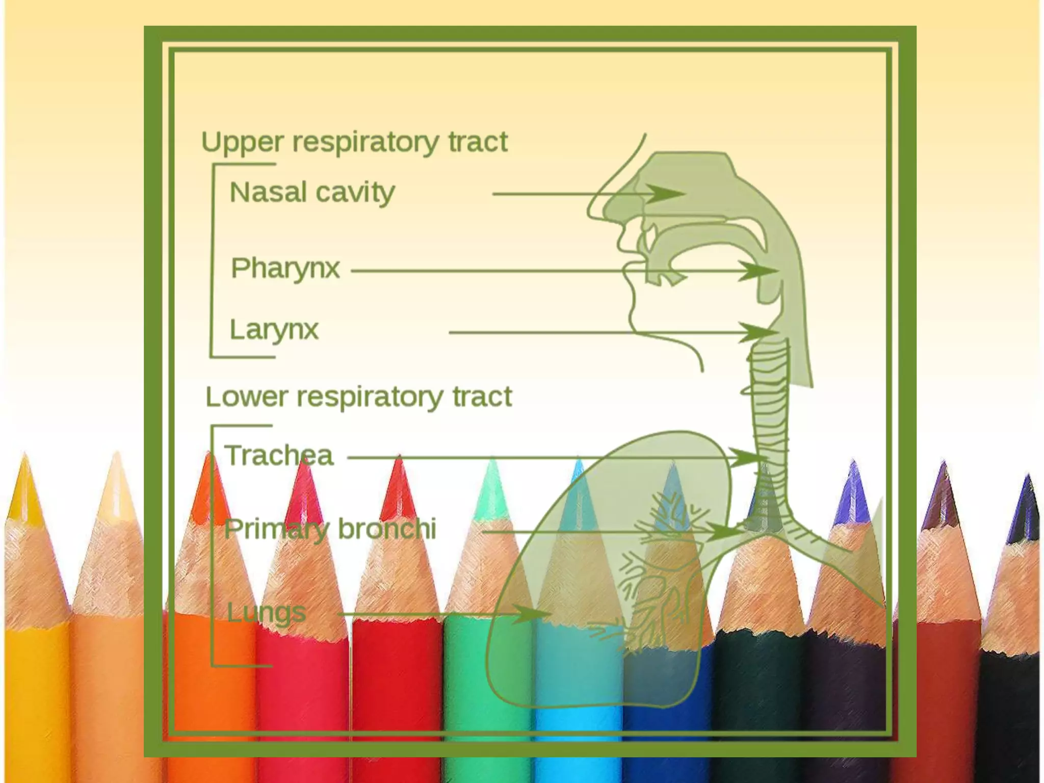 Noisy breathing in children | PPTX