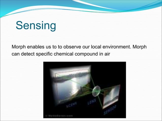 Nokia morph technology | PPT