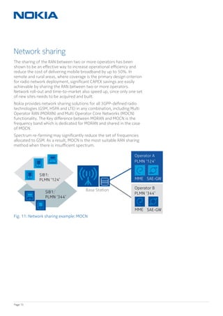 Nokia_single_ran_advanced_evolution_whit.pdf