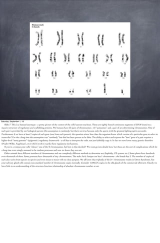 Teleology in Evolution - A Presentation for the New Orleans C G Jung ...