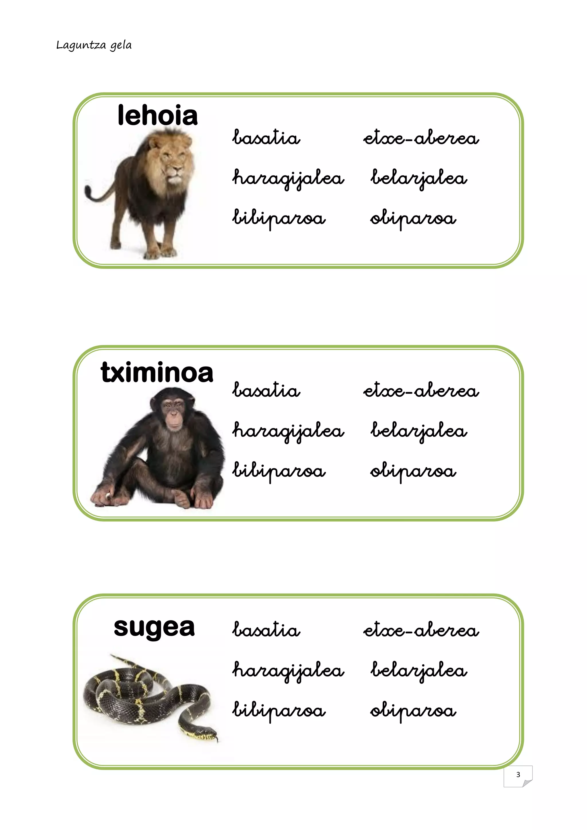 Nolakoak dira animalia hauek | PDF
