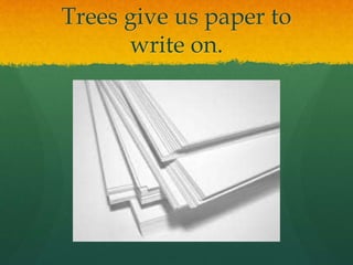 Nolan's Presentation on Trees | PPTX | Woodworking | Arts and Crafts