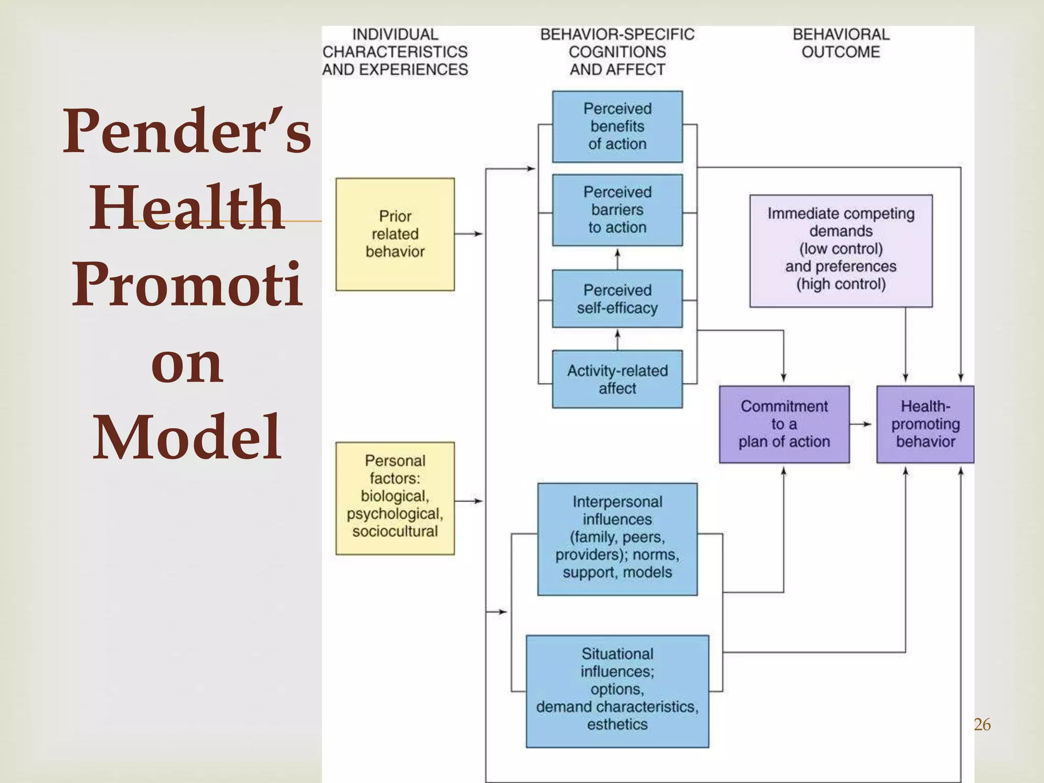 Nola penders theory | PPTX