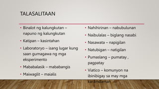 nolimetangerekabanata41-200605132355.pptx