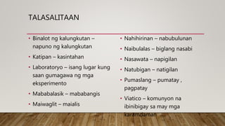 Noli me tangere kabanata 41 | PPTX