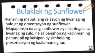 NOLI ME TANGERE pabalat.pptx
