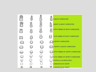 Nolla staging and Dental Age(Orthdontics) | PPTX