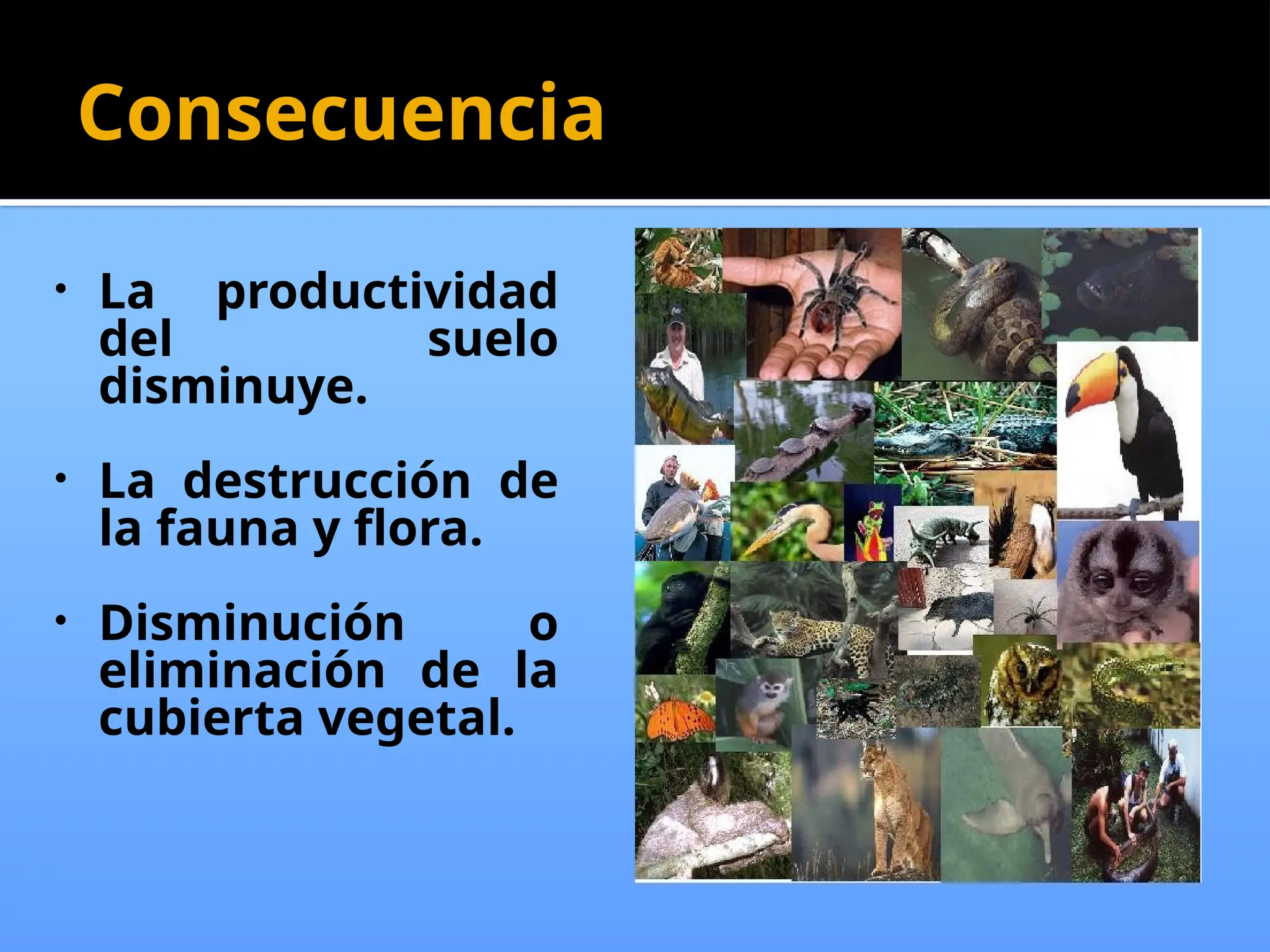 NOLVERTO-PROYECTO.pptxiuihuhuhuhuhuuugugugugugugu | PPTX