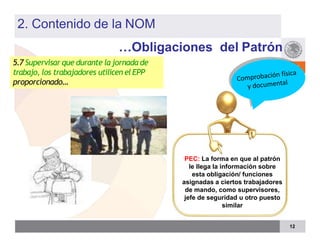 NOM-017_ EPP.pptx