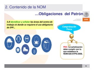 NOM-017STPS-2 (1).pdf