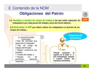 NOM-017STPS-2 (1).pdf
