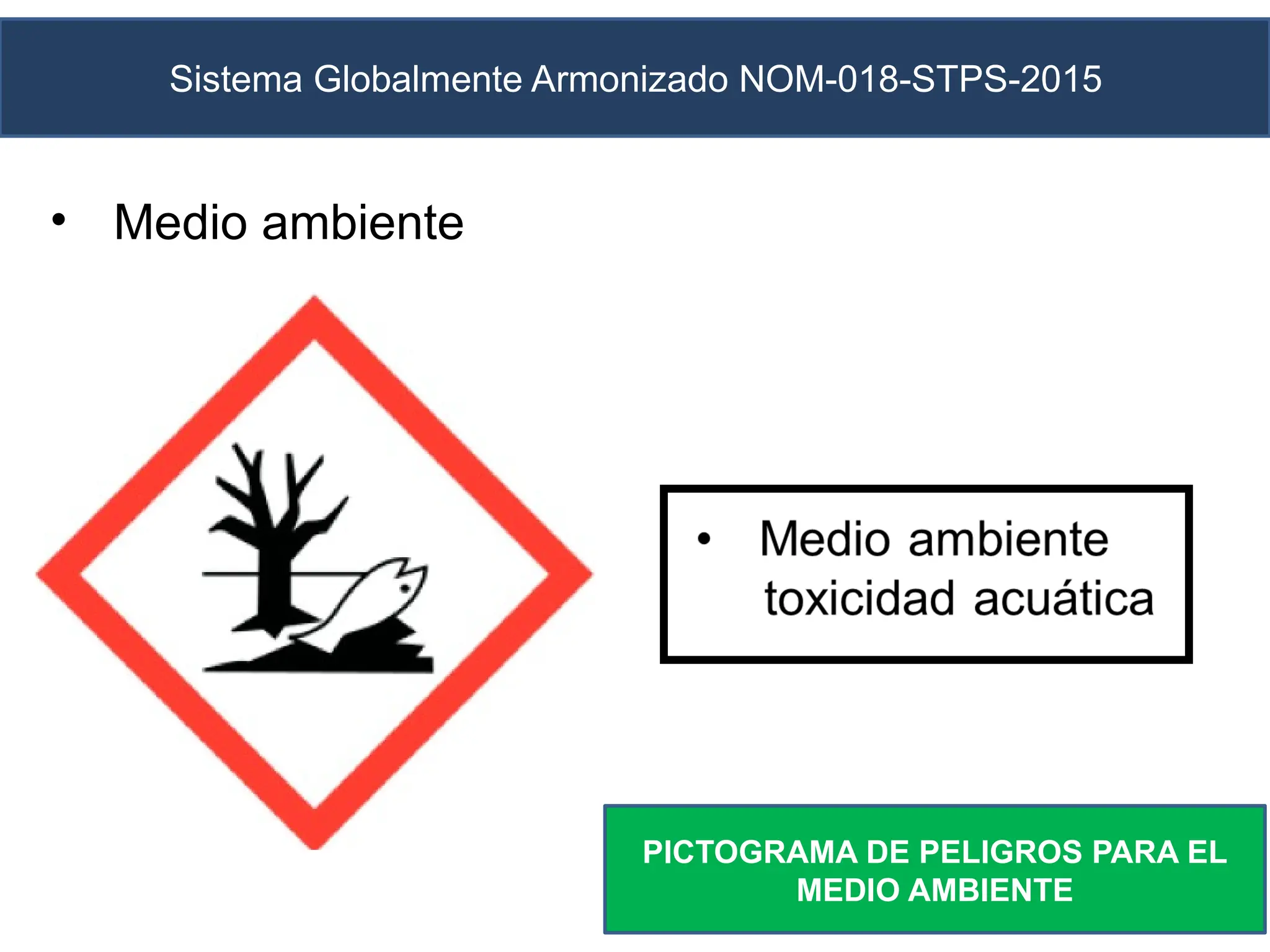 Nom-018 NUEVO NORMATIVA ACTUALIZADA.pptx