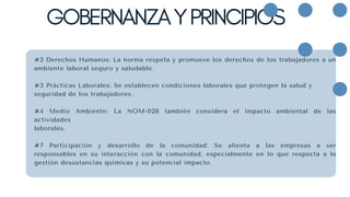 NOM-028-STPS-2004 Organizacion del trabajo | PDF