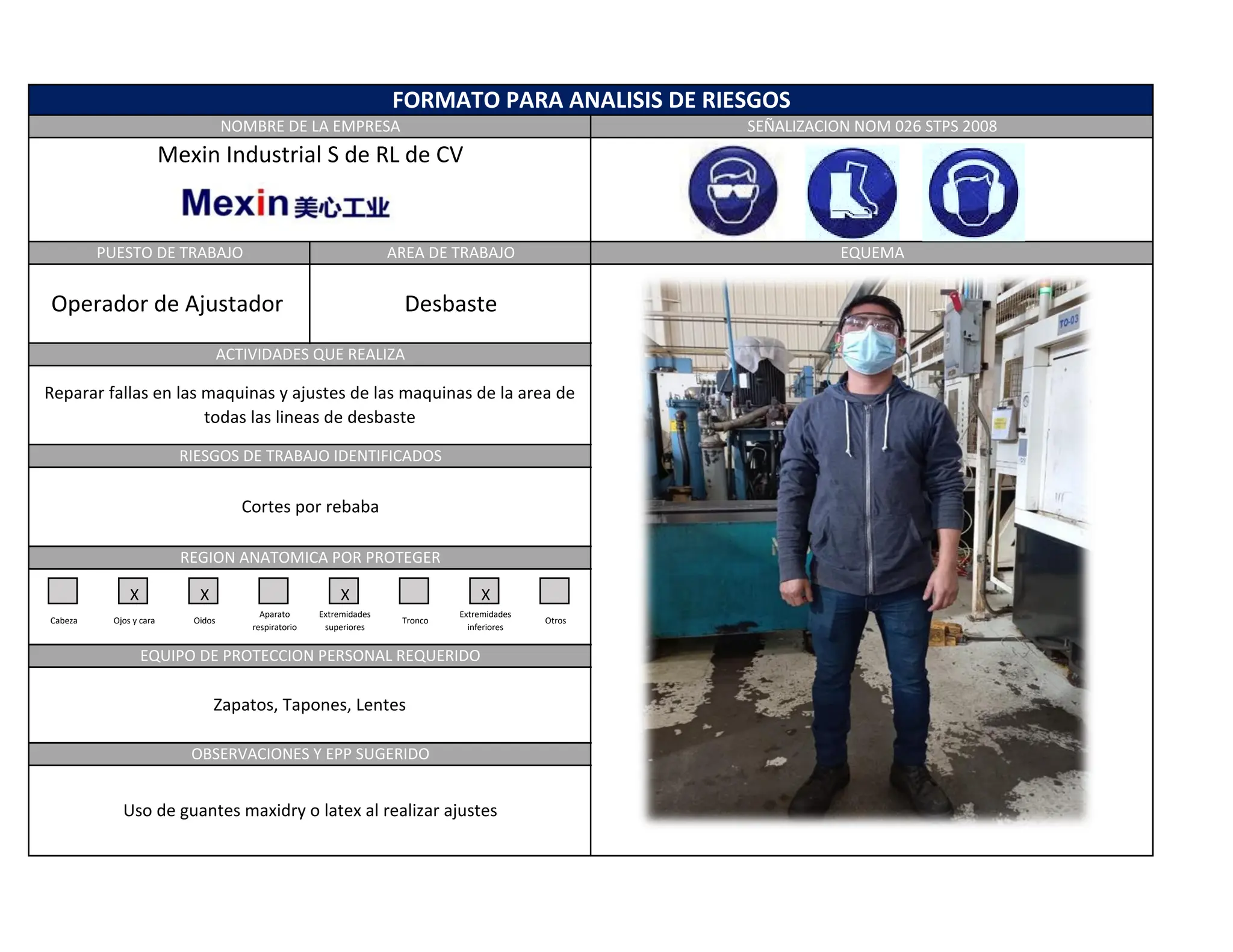 NOM 017 STPS 2008 Estudio y Analisis de EPP.pdf