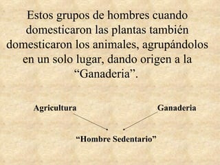Nomades y Sedentarios | PPT