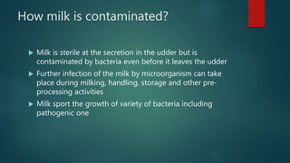 Microbiology of Milk | PPTX
