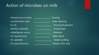 Microbiology of Milk | PPTX