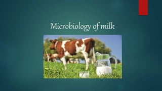 Microbiology of Milk | PPTX
