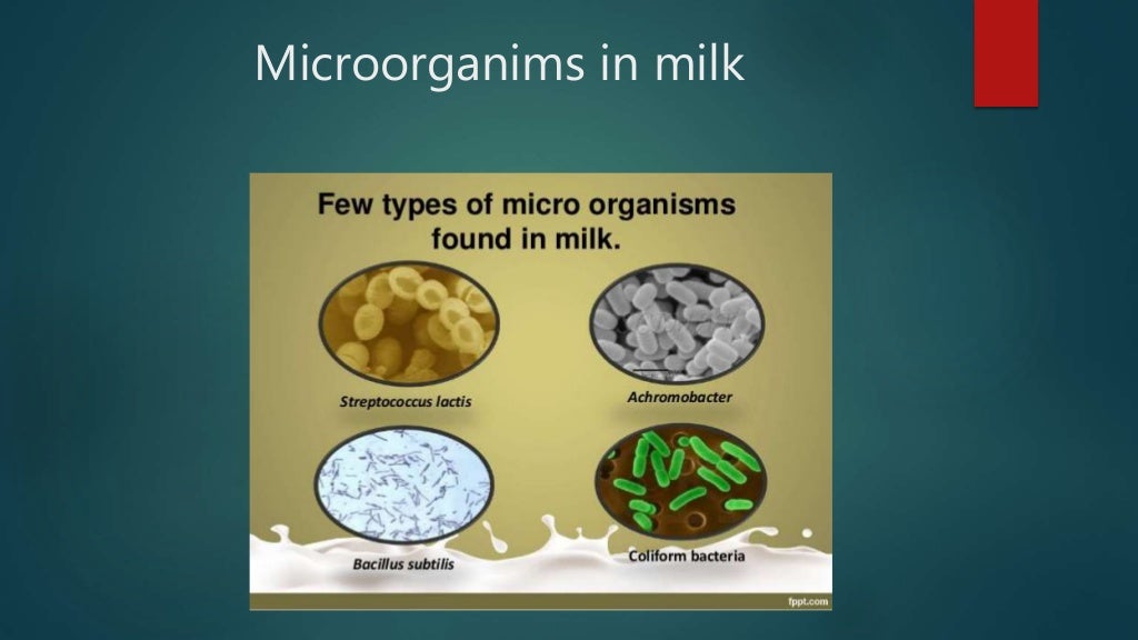 Microbiology of Milk