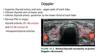 Thyroid Ultrasound and TIRADS | PPTX