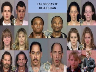 No mas drogas | PPTX