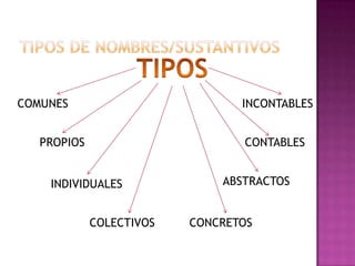 Nombre o sustantivo | PPT