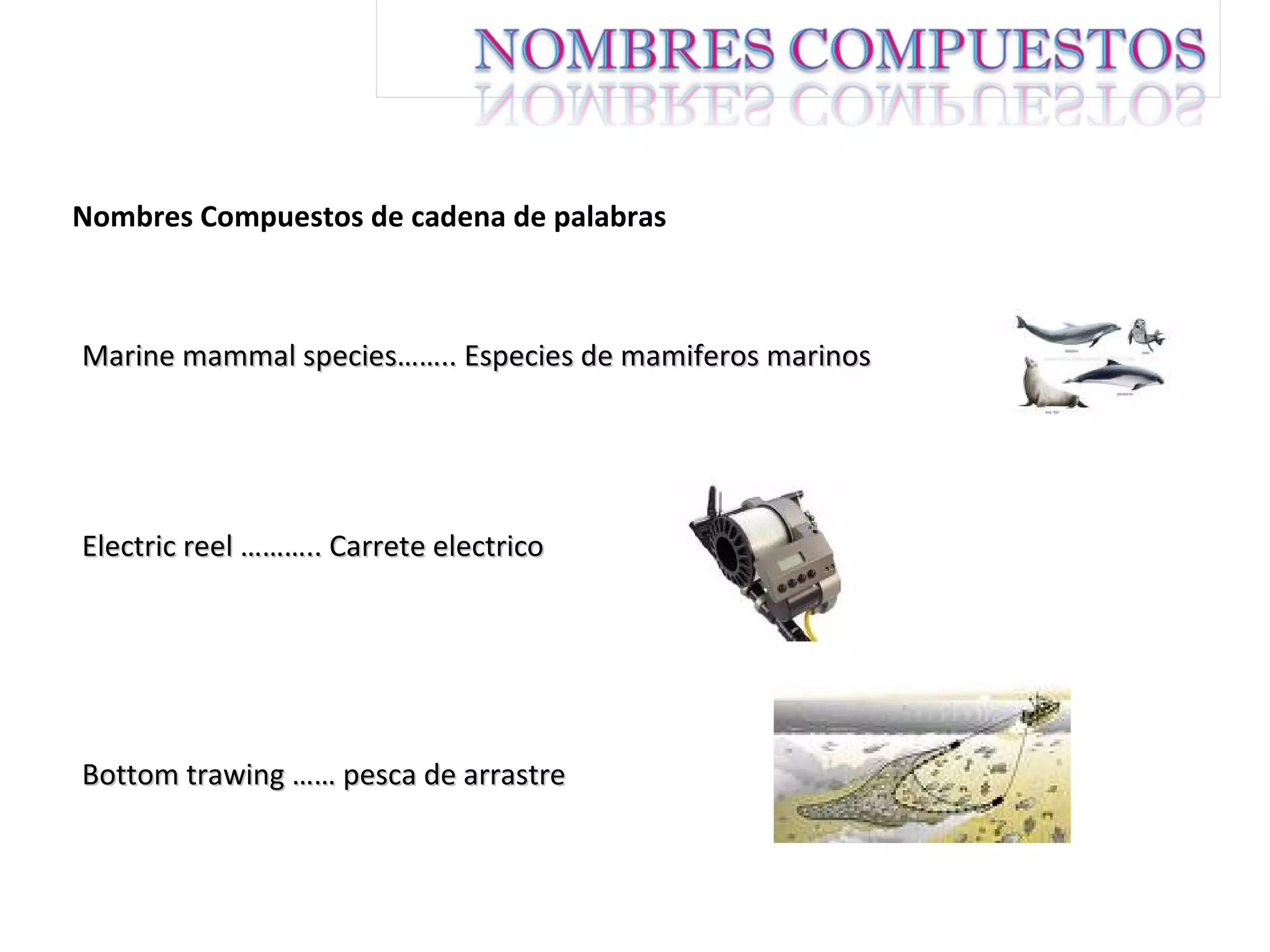 Nombres Compuestos | PPT