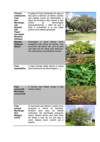 Plantas medicinais | DOCX