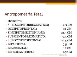 Nomenclatura obstetrica y Pelvimetria.pptx