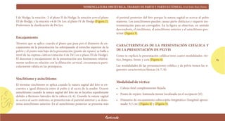 Nomenclatura obstétrica | PDF