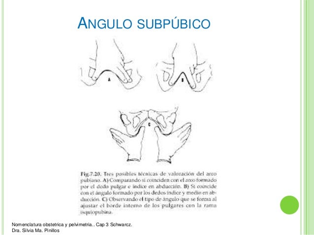 Nomenclatura obstétrica y pelvimetría