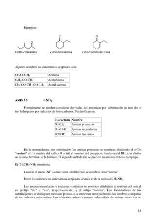 Nomenclatura_organica.pdf
