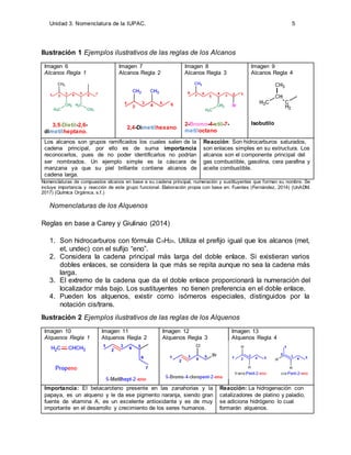 Nomenclaturas de la IUPAC | DOCX