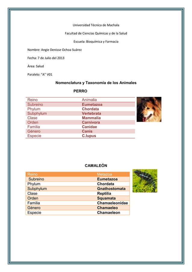 Nomenclatura y taxonomia de los animales y las plantas | DOCX
