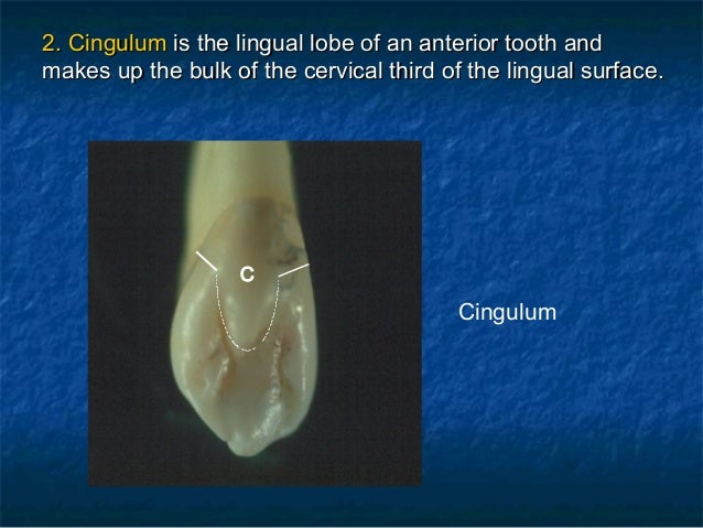 Nomenclature 100305134042-phpapp01